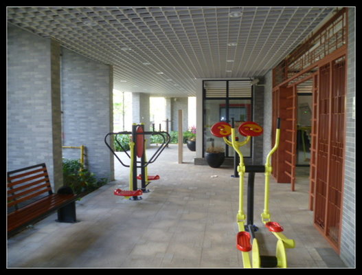Factory Directly Supply High Quality Exercise Equipment Hand Ring Gymnastic Rings