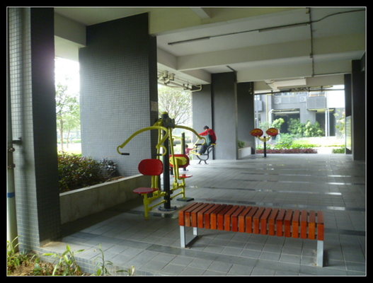 Factory Directly Supply High Quality Exercise Equipment Hand Ring Gymnastic Rings