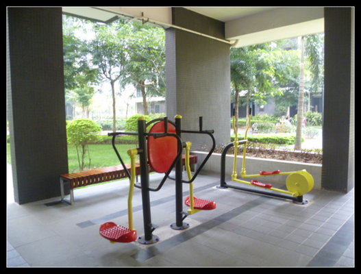 Factory Directly Supply High Quality Gym Equipment Fitness Climing Ladder