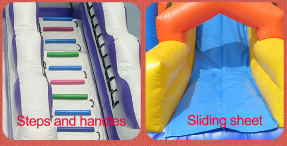 New Design Inflatable Bouncer Combos Bottom Price Animal Theme Inflatable Bouncy