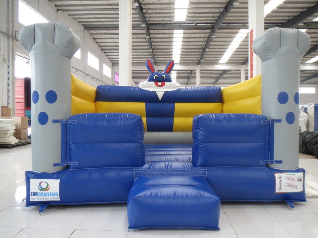 Bottom Price Animal Theme Inflatable Bouncer for Sale Kids  Inflatable Jumping Castle
