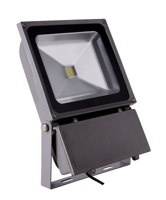 High Power IP65 100w Outdoor led projector lighting/LED spotlight/LED floorlight