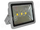 10000 Lumen LED Floodlight