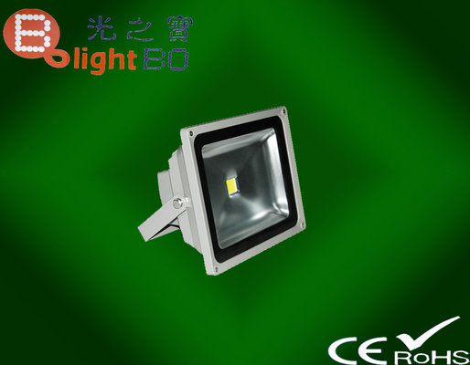 70Watt 120V Dustproof Waterproof Led Flood Lights For Green Landscape Lighting IP 65