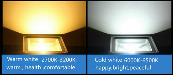 Decorative Waterproof LED Flood Lights