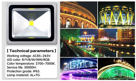 Waterproof Epistar / Bridgelux AC 120V 10 Watt LED Flood Light With Meanwell Driver