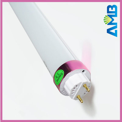 Energy Saving 12W DC 12V / 24V Pathway Steet Dimmable T8 LED Tube