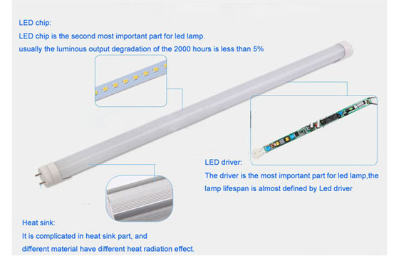 12 Watt Non Glare SMD LED T8 Tube Light , Home Lighiting Fixture
