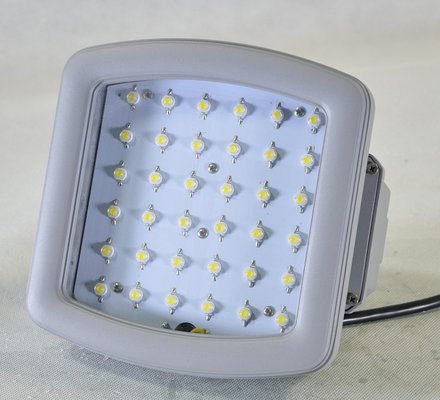 IP68 3600Lm High lumens LED canopy lights outdoor for Commercial hall lighting