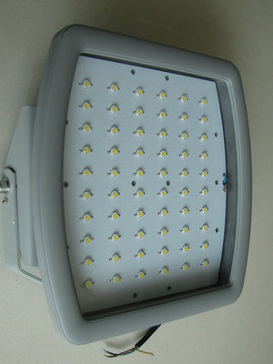 40 W Industrial Cool White LED Gas Station Canopy Lights with high brightness Ra 80