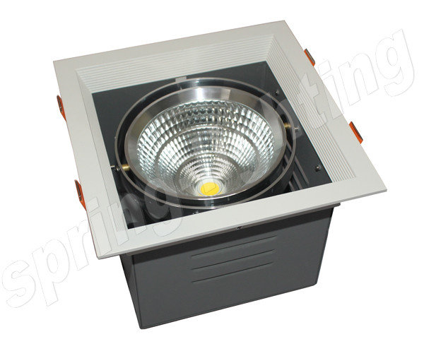 30W LED Projector Lights 