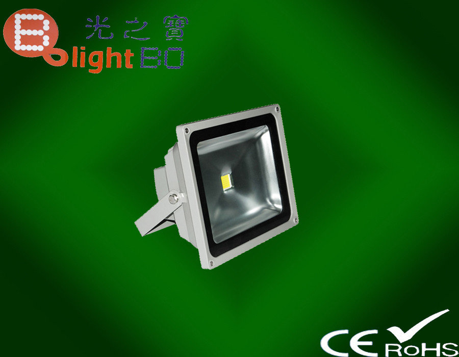 70Watt 120V Dustproof Waterproof Led Flood Lights For Green Landscape Lighting IP 65