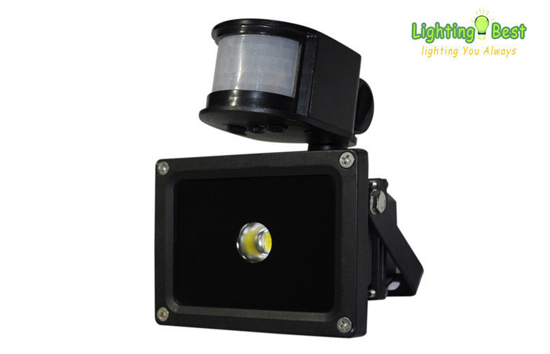PIR Black Led Flood Lights
