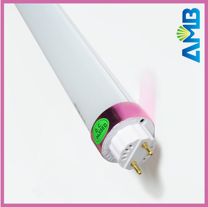 Energy Saving 12W DC 12V / 24V Pathway Steet Dimmable T8 LED Tube