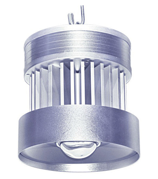 White Bridgelux 30W AC85 - 265V High Bay Led Lights for Petrol Stations Ce & RoHs approval