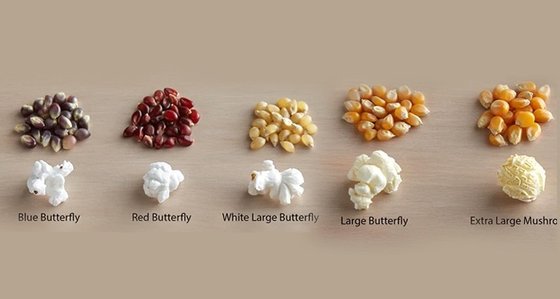 Pop Corn