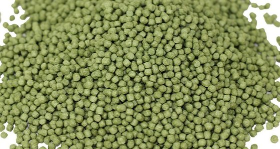Fish Feed