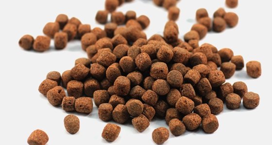 Fish Feed