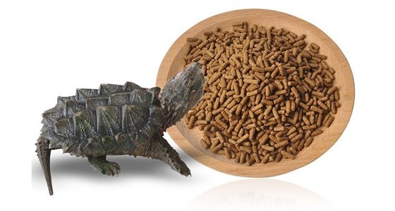 Fish Feed