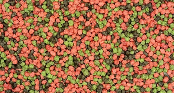 Fish Feed