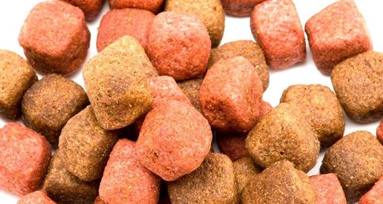 Pet Food