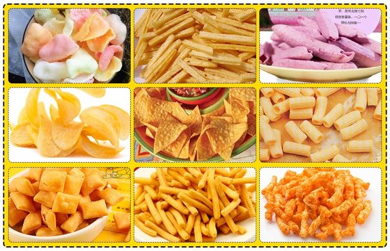 Visit And Study Of Continuous Fryer Factory