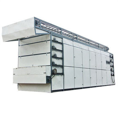 continuous conveyor dryer