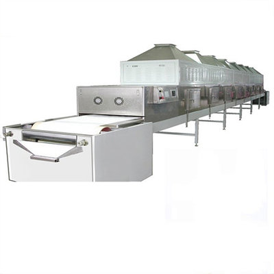 continuous conveyor dryer