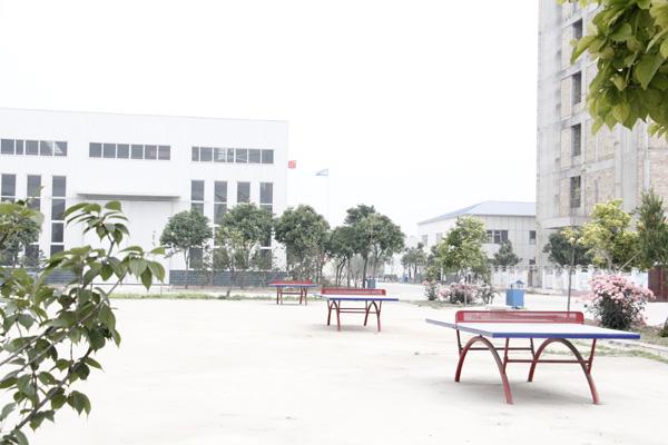 Congratulations on the Office-warming of Shandong China Coal Group-Towards A New Journey
