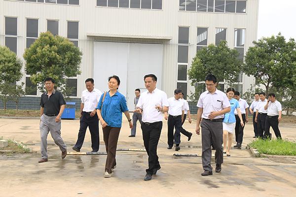 Warm Welcome to the Provincial Party Committee and the Municipal Leaders to Visit Shandong China Coal Group for Investigation and Research