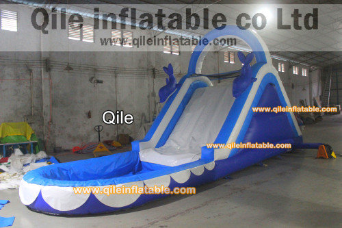 dolphins inflatable wet & dry slide with pool,pool can removed ,double wave slide supplier