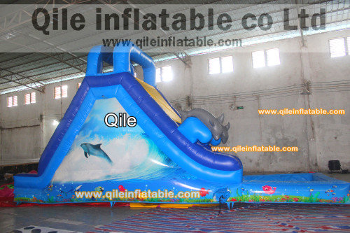 dolphins inflatable wet & dry slide with pool,pool can removed ,double wave slide supplier