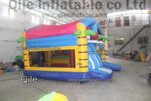 dolphins combo , hire a bouncy castle,adult bouncy castle hire,bouncy slide hire supplier