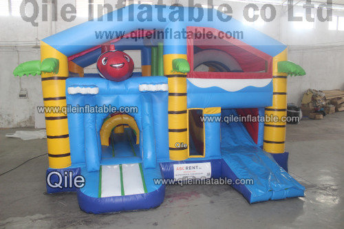 dolphins combo , hire a bouncy castle,adult bouncy castle hire,bouncy slide hire supplier