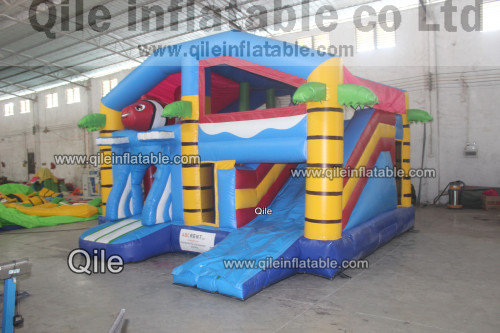 dolphins combo , hire a bouncy castle,adult bouncy castle hire,bouncy slide hire supplier