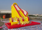 Custom Inflatable Adult Water Slide With Swimming Pool , Inflatable Combo Water Slide