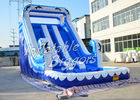 Kids Games Dolphin Inflatable Water Slide Blue / White With Brazil HR4040