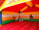 Bouncy Jumper Commercial Inflatable Bouncers