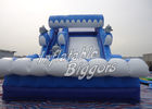 Dolphin Double Slip Kids Inflatable Slides Bouncer Blue , PVC EN14960