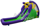 Home Backyard Inflatable Water Slides