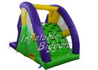 Home Backyard Inflatable Water Slides