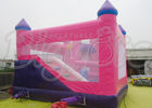 Custom The Princess Inflatable Combo Bouncer For Frozen Anna Elsa In House