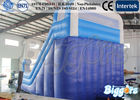 Dolphin Inflatable Water Double Lanes Slip Durable with Swiming Pool