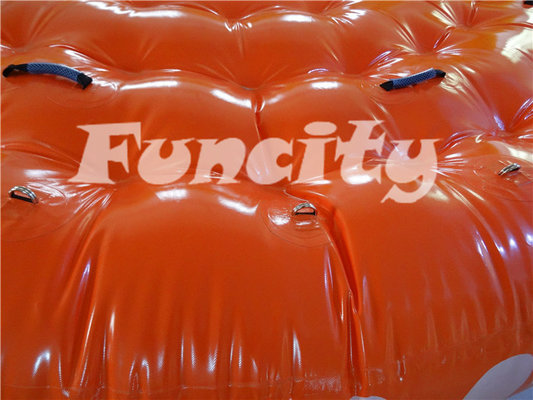 Pvc Tarpaulin Durable Inflatable Fly Fish Water Crazy UFO for Water Sports Games