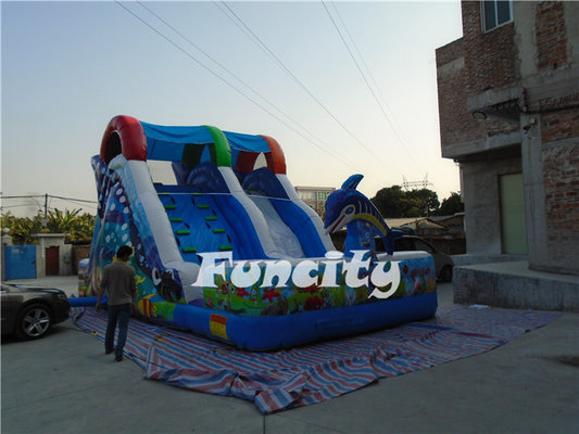 OEM Inflatable Big Commercial Inflatable Slide for Entertainment