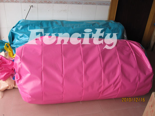 Lovely Dolphin Inflatable Fun City Bounce Playground Equipment Fun For Children