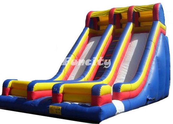 Beautiful Children Inflatable Dry Slide Double Lane Commercial Grade Long Lifespan