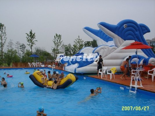 Huge Size Dolphin Shaped Inflatable Dry Slide Durable PVC Tarpaulin For Pool