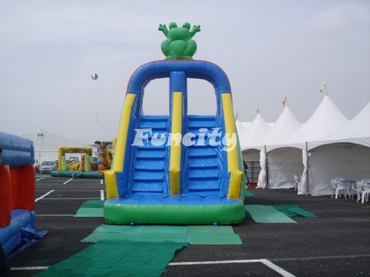Vivid Frog Inflatable Double Slides Customizable Size For Kids Having Fun
