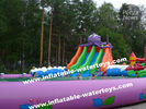 Colorful PVC Tarpaulin Aqua Inflatable Water Pool For Entertainment